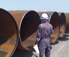 Adipec Uae 2021 展商资料 - 外贸数据源 - 福步外贸论坛