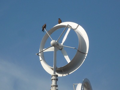 Jp Wsew Wind 2017 展商资料 - 外贸数据源 - 福步外贸论坛