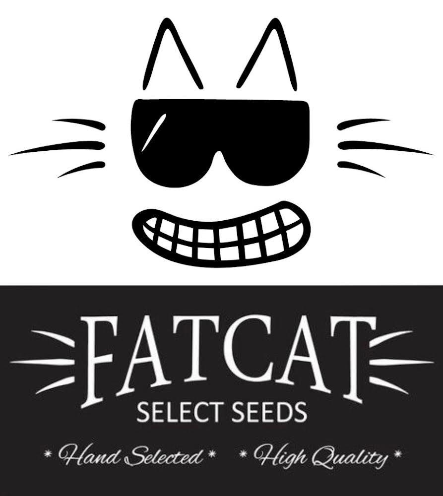 Fatcat Select Seeds - Cannabis - FOB Business Directory