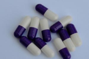 Bright Pharma Caps Inc. - ingredients for food,beverage - FOB Business ...